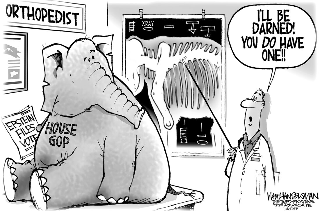 Cartoon commentary | News, Sports, Jobs - The Mining Journal